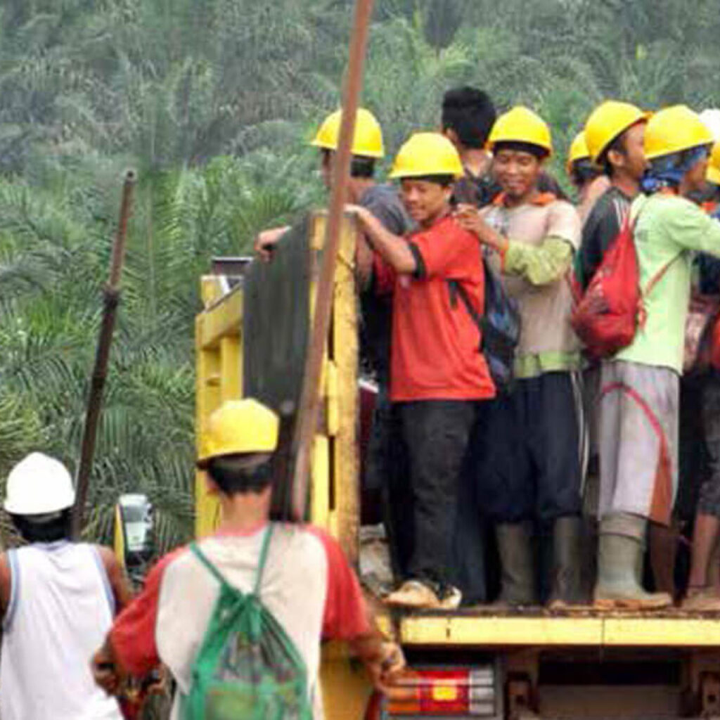 Berita Sawit - GAPKI Ulang Tahun ke 44, Produksi Minyak Sawit Tahun ...