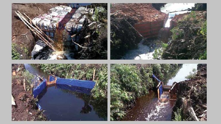 Berita Sawit - Mengelola Tinggi Muka Air di Kebun Sawit di Lahan Gambut ...